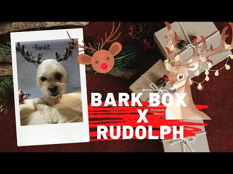 Bark Box X Rudolph: Just in time for Christmas! - YouTube