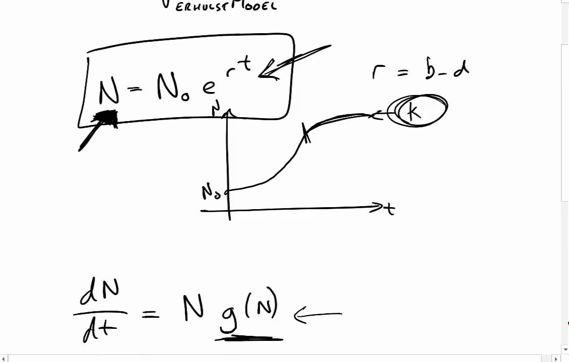 The Logistic Growth (Verhulst) Model - YouTube