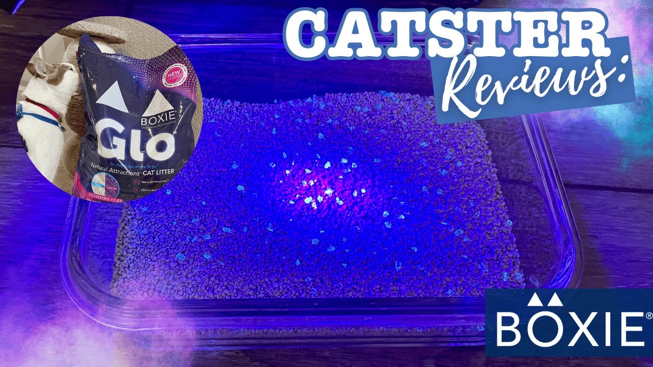 Boxie® Review 2024 | Glowing Cat Litter?! - YouTube