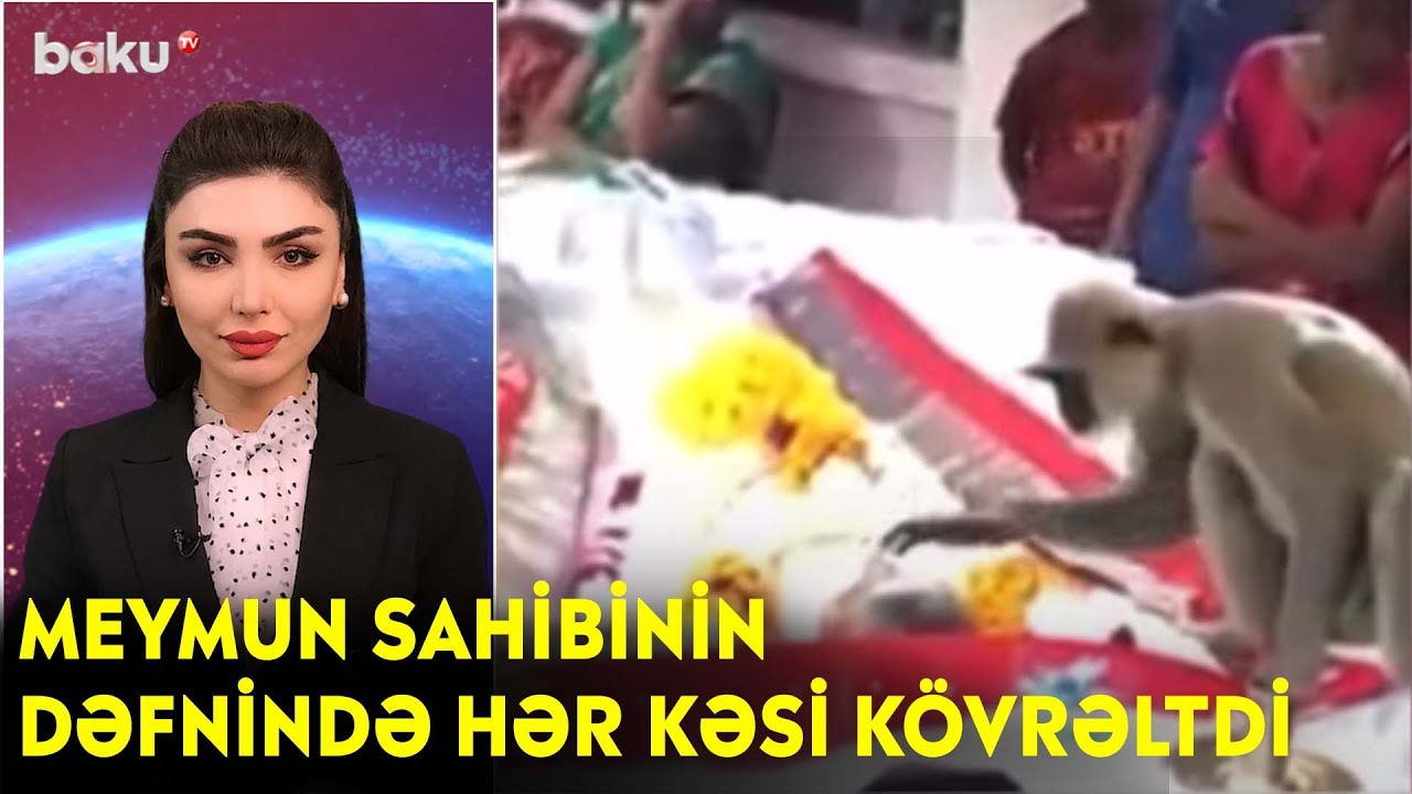 Meymun sahibinin dəfnində hər kəsi kövrəltdi - Maraqlı anlar | BAKU TV ...