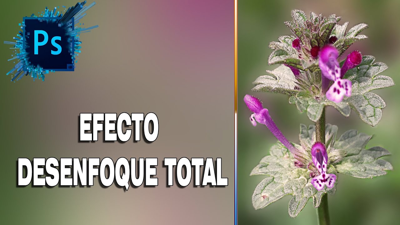 como DESENFOCAR una IMAGEN en PHOTOSHOP cc 2019 - YouTube