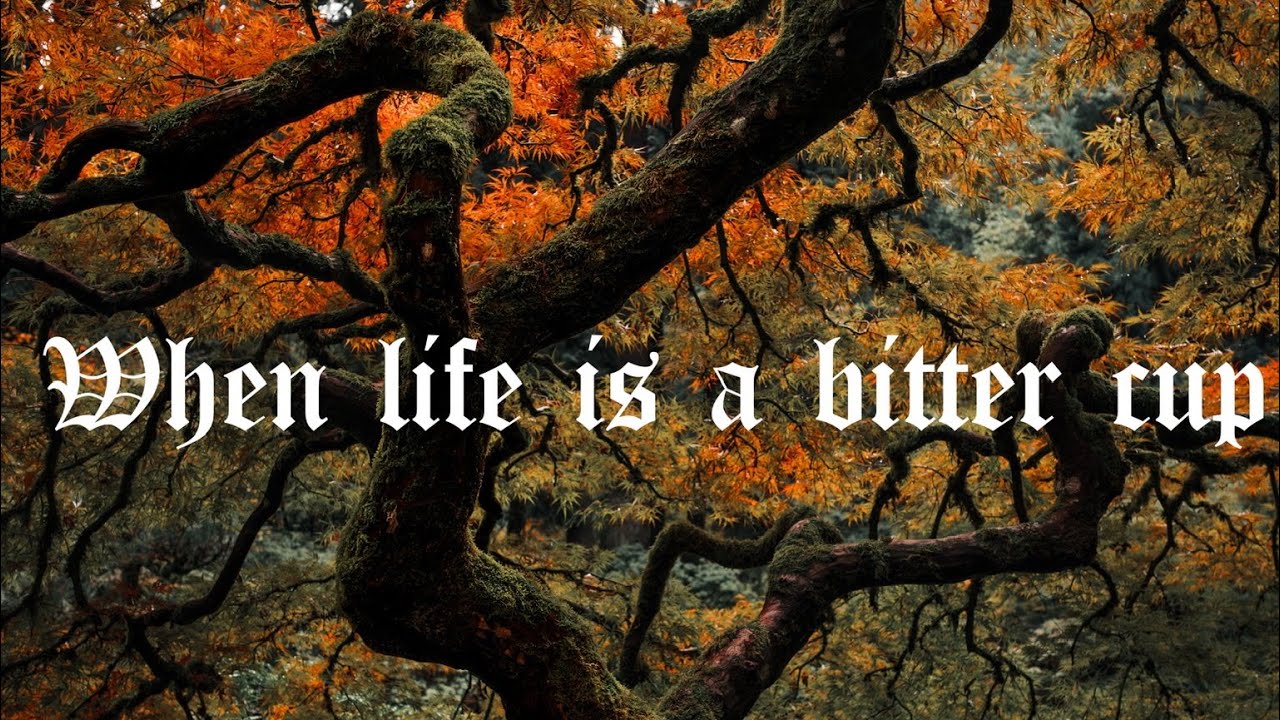 “When Life is a Bitter Cup.” Luke 22:39-46 Pastor John Brock Evans ...