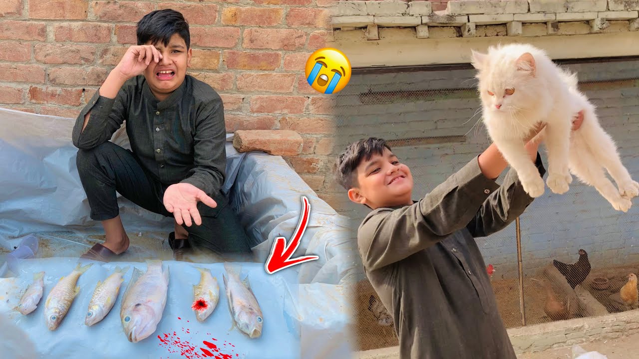 sunny ko fish ka pta chal gya 😱😭#minizoo #birdswalalarka - YouTube