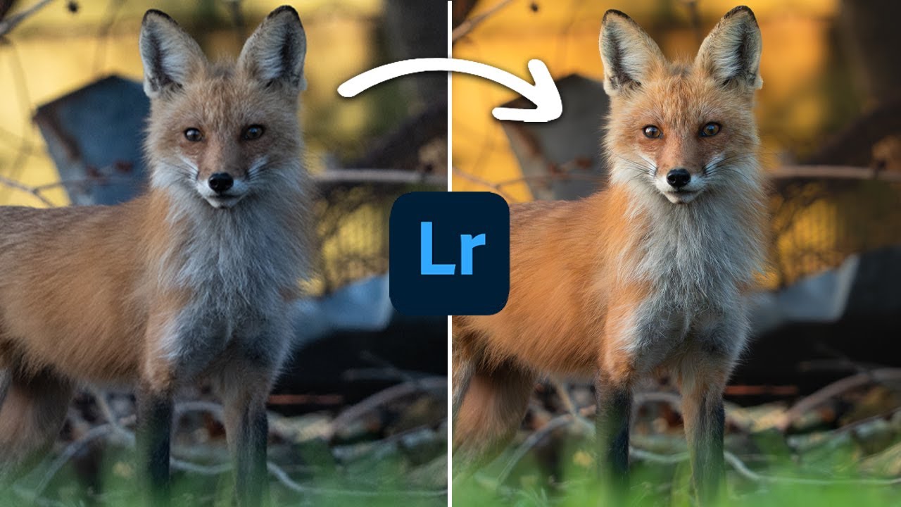 Editing a Photo in 5 Minutes | Lightroom Masking Tricks - YouTube