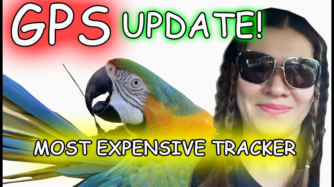 I AM SURPRISE ABOUT WORLD'S MOST EXPENSIVE GPS TRACKER - YouTube