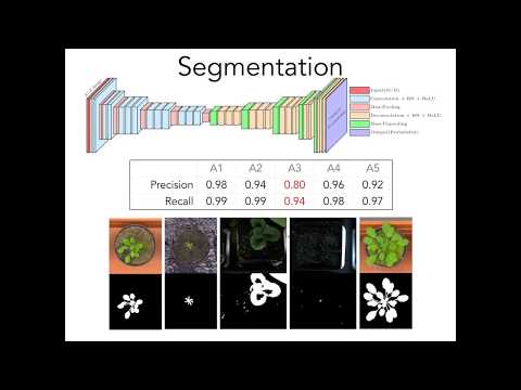 Deep learning for image-based plant phenomics