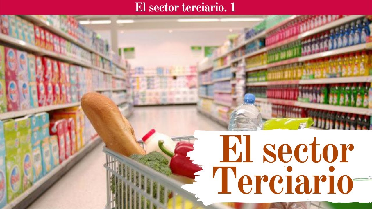 El Sector Terciario I SECTOR TERCIARIO I 1 - YouTube