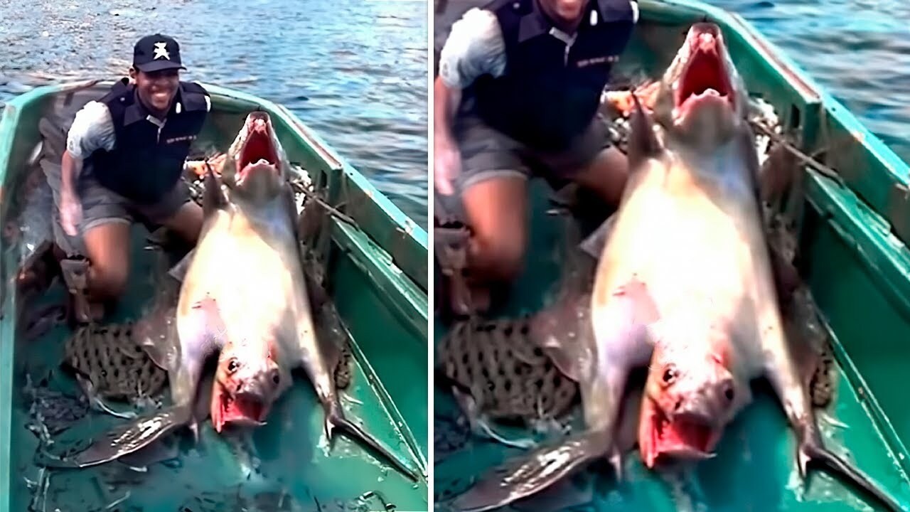 Terrifying Creatures Caught On Camera No One Would Believe If Not ...