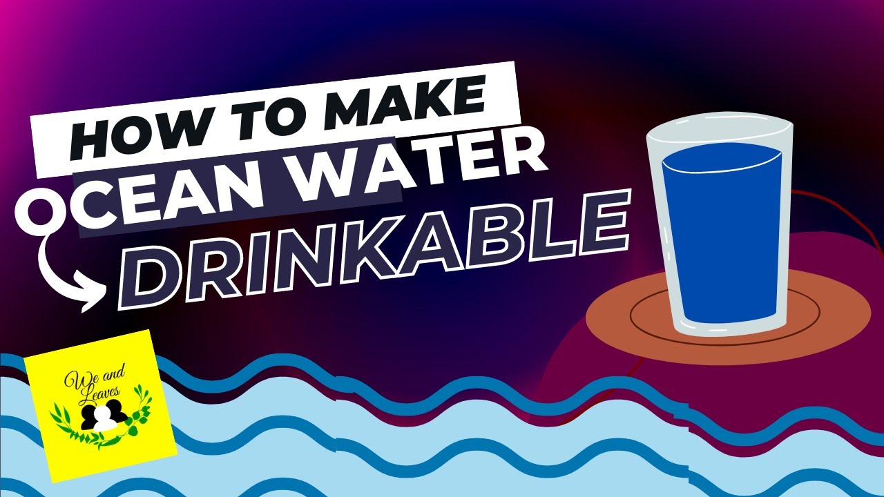 How People Are Drinking Ocean Water?? - YouTube