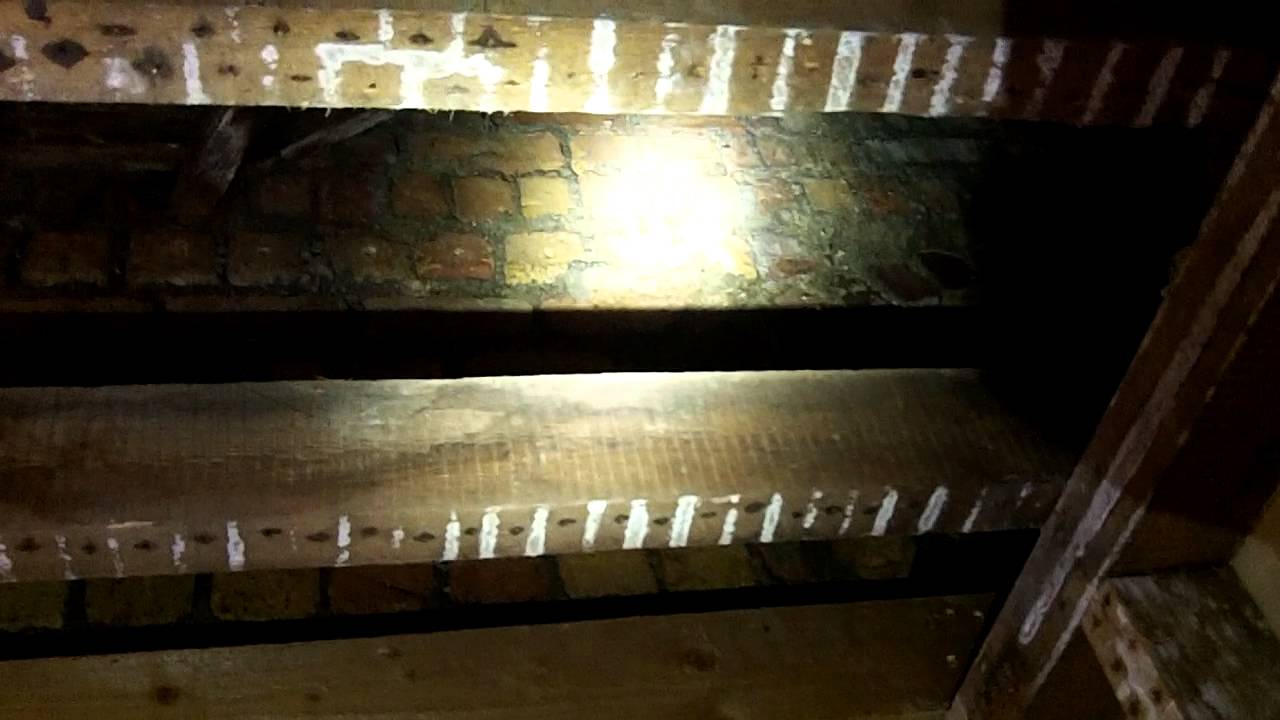 Rising Damp? No - it's falling damp from a roof leak! - YouTube