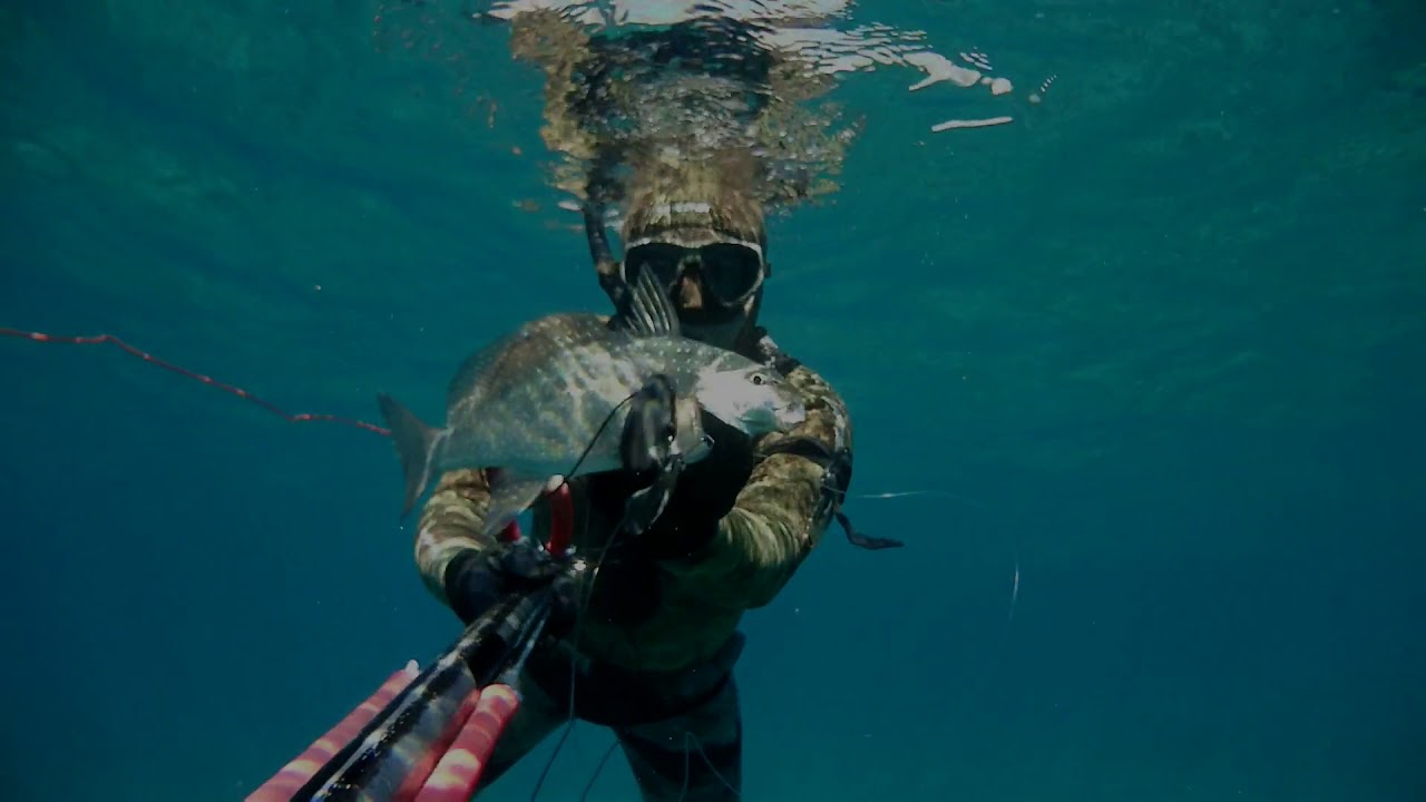 Pesca subacquea 2020 - Spearfishing - Gran Canaria - YouTube