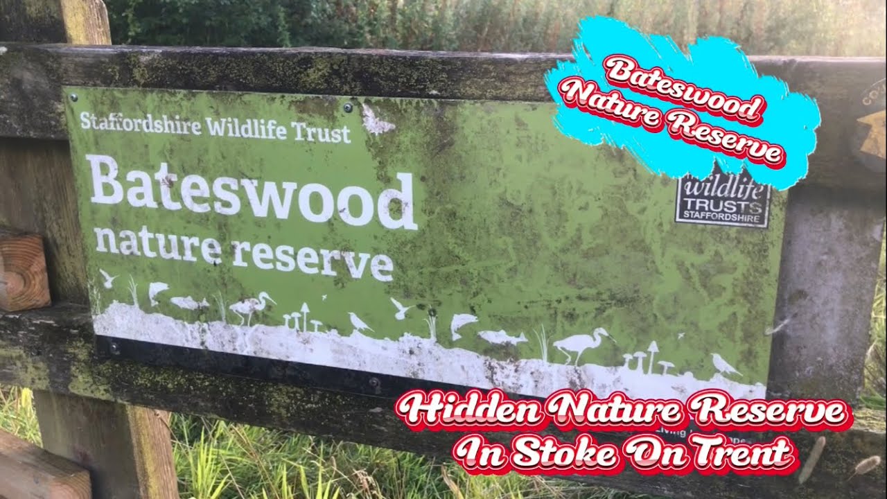 Bateswood Nature Reserve | Staffordshire Wildlife Trust - YouTube
