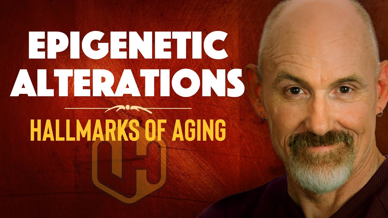 EPIGENETIC ALTERATIONS | A Hallmark of Aging [2020] - YouTube