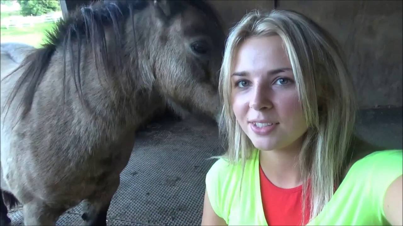 Meet the horses from the Little Alf books! - YouTube