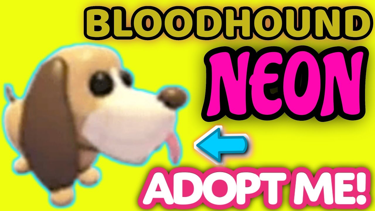 NEON BLOODHOUND IN ADOPT ME! - YouTube