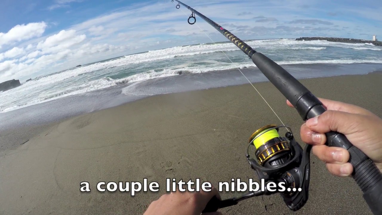 Oregon Surf Perch Plus a Bonus! - YouTube