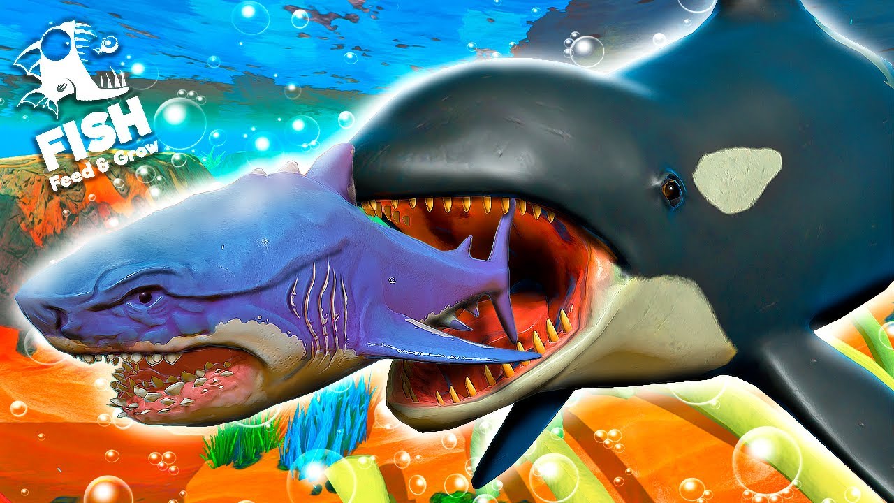 Feed and Grow Fish - Orca Gigante, Devoradora de Megalodon, a Moby Dick ...