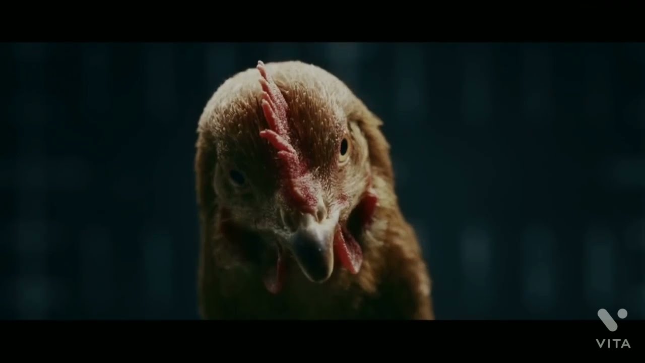 Mercedes-Benz “Chicken” MAGIC BODY CONTROL TV commercial - YouTube