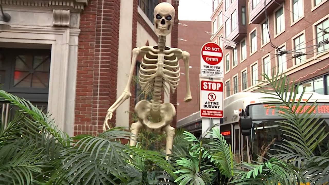 Arm stolen from giant skeleton decoration outside Massachusetts ...