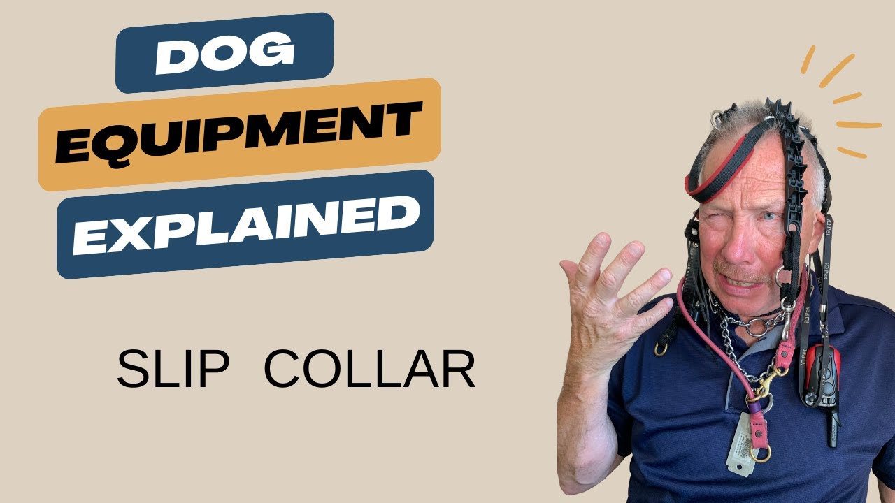 Understanding Slip Collars: Essential Dog Training Equipment - YouTube
