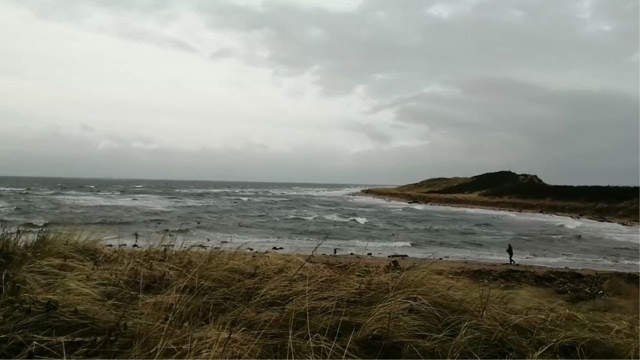 Walking In The Ayr - Ayr Coastal Path - YouTube