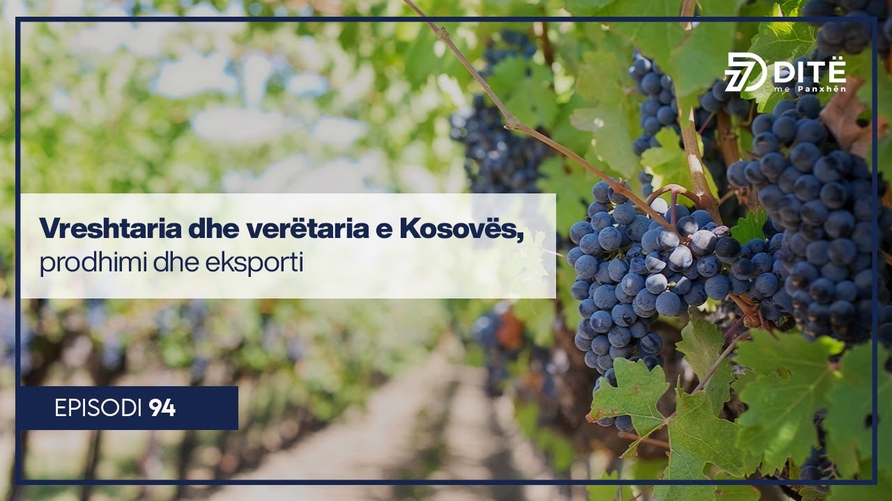 Vreshtaria dhe verëtaria e Kosovës, prodhimi dhe eksporti - YouTube