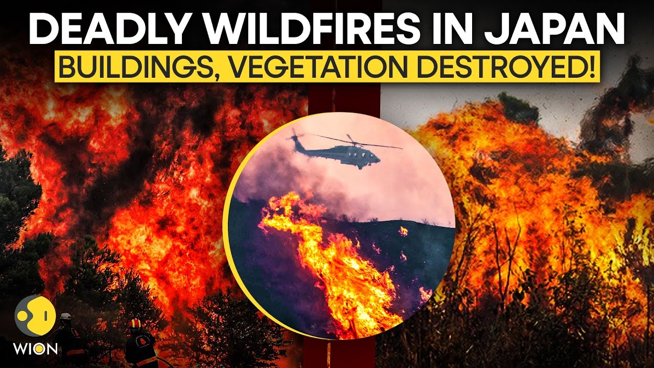 Japan Wildfire LIVE: Wildfires Rage Through Japan’s Ofunato Causing ...