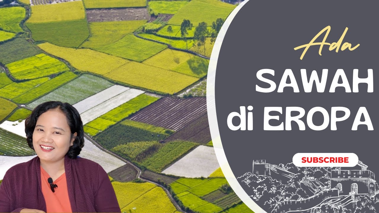 Apakah Bule Eropa MAKAN NASI dan Makanan ASIA paling Ngetop di Eropa ...