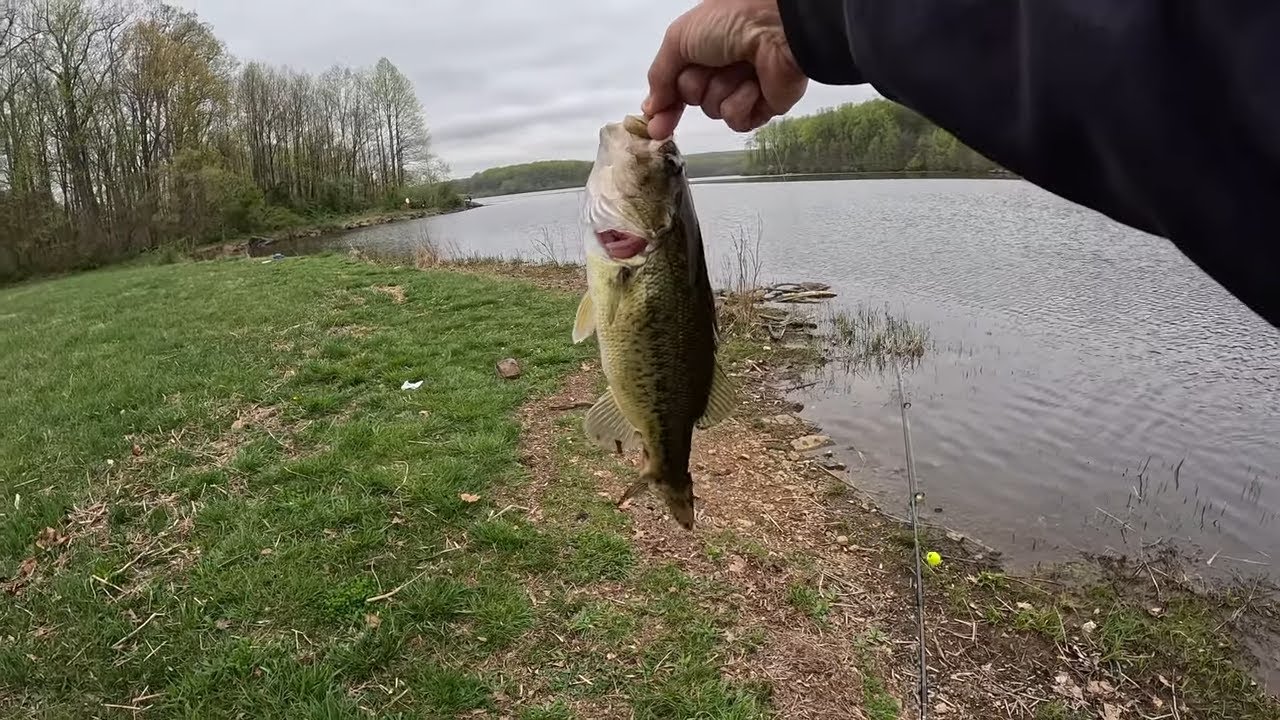 Chambers Lake PA First Catch! - YouTube