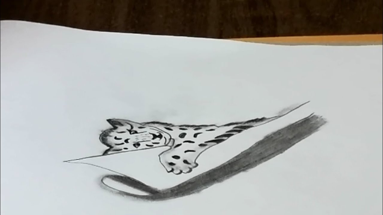 How to draw a tiger with Pencil drawing 3d |Drawing 3D Tiger - YouTube