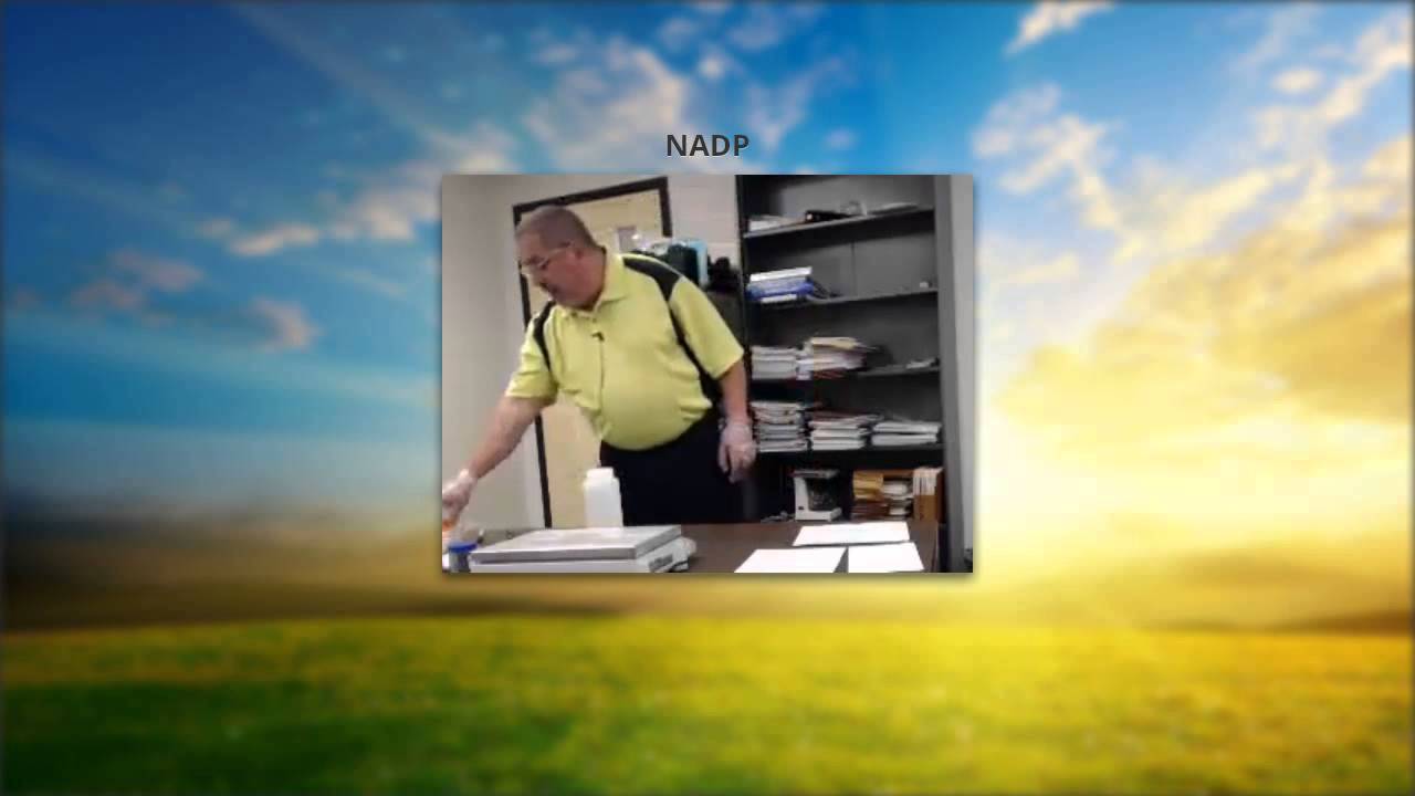 NTN Sample Processing - YouTube