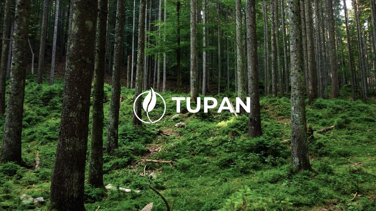 How Tupan Changed My Life - YouTube