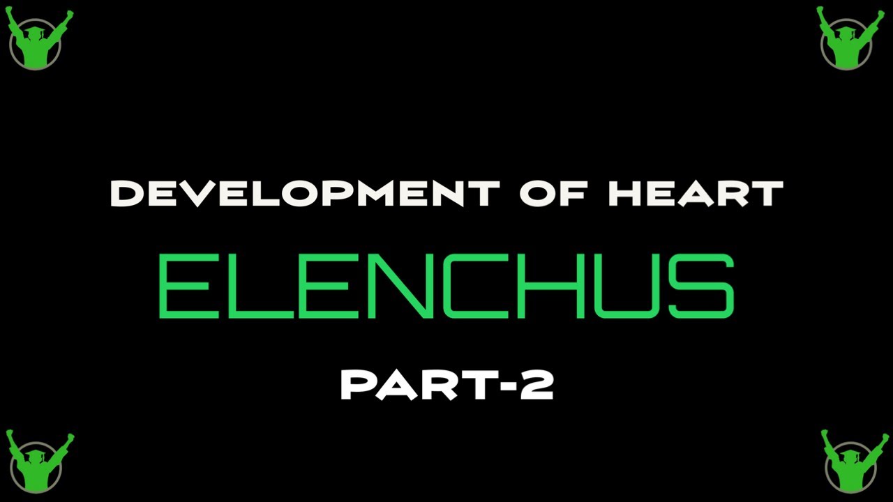 Development of Heart - Part 2|| Elenchus Embryology Series || FULLPASS ...