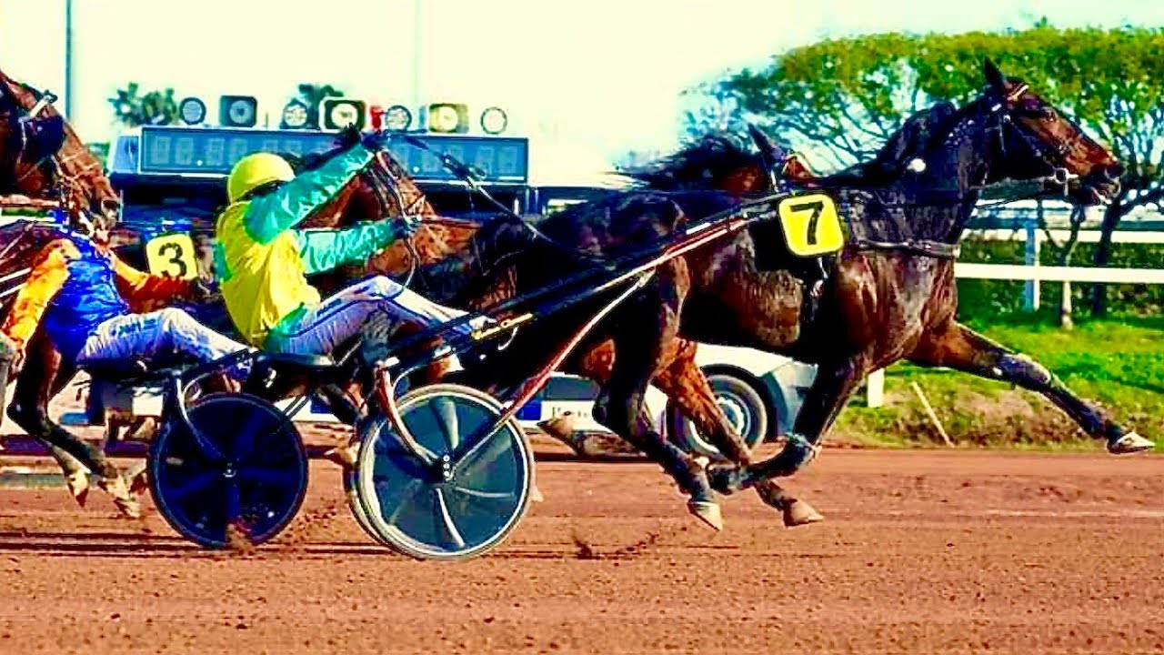 EQUOS MONDO TROTTO – puntata 15 - YouTube