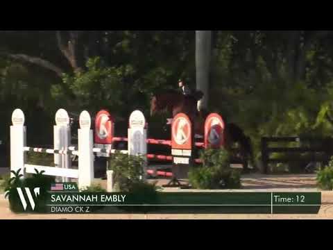 Nuce showjumping round