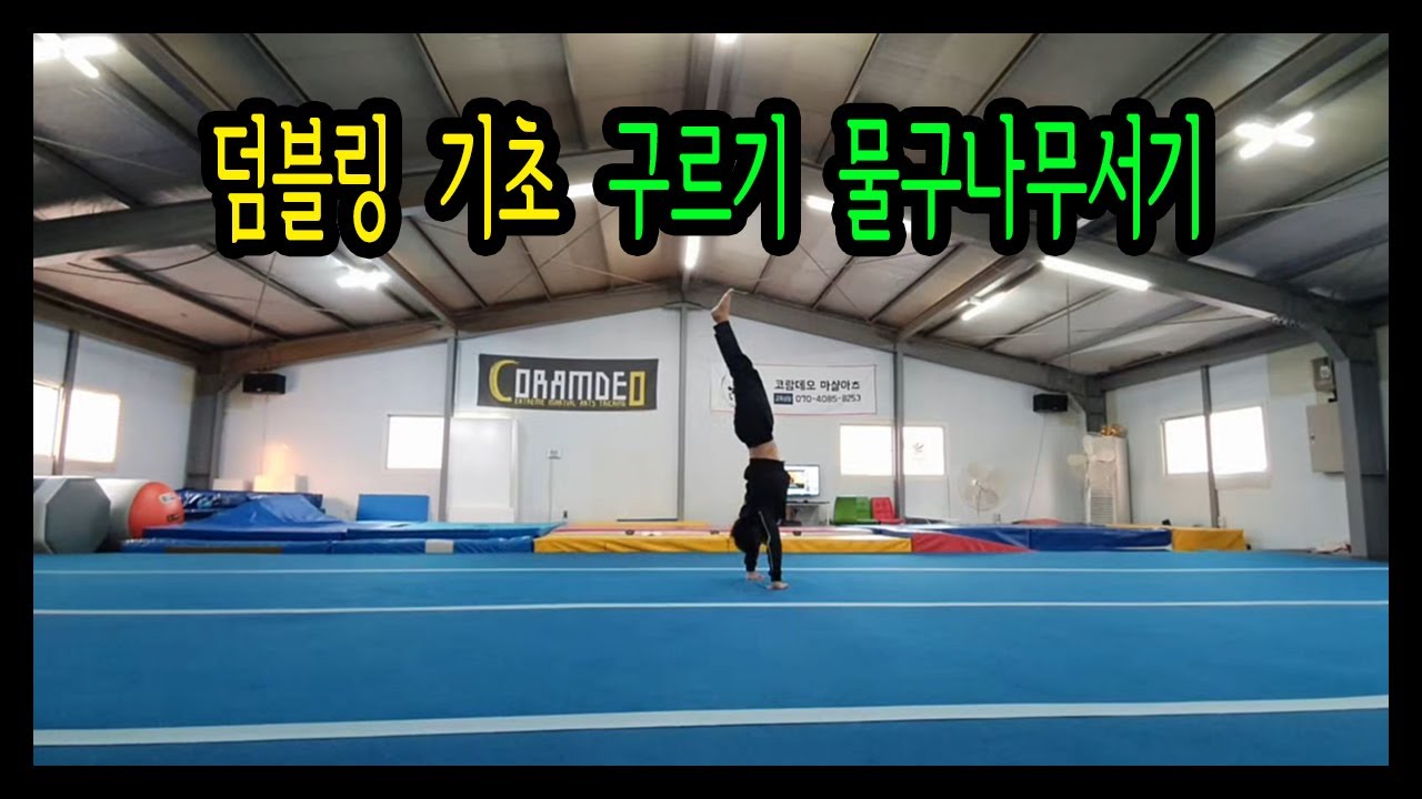 앞구르기(4가지), 뒷구르기(3가지), Forward roll(jump,handstand forwardroll), Back ...