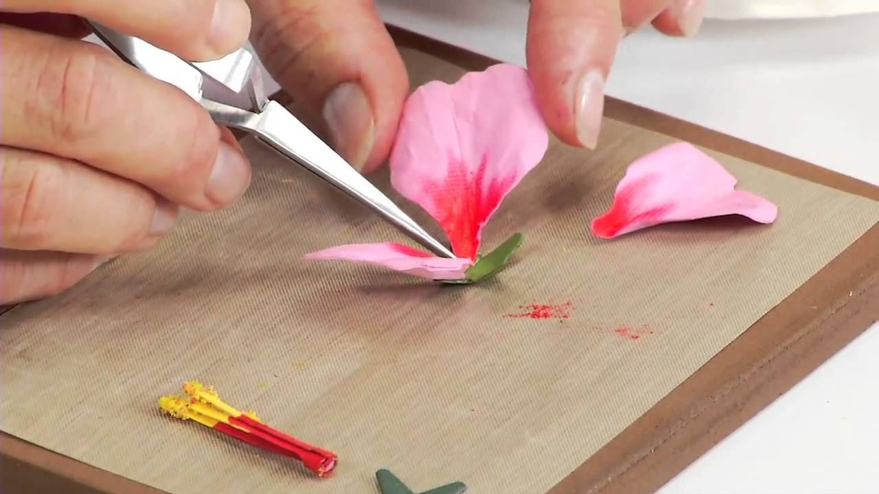 How To Use Sizzix Thinlits Hibiscus Flower Die 658416 YouTube how-to-use-sizzix-thinlits-hibiscus-flower-die-658416-youtube