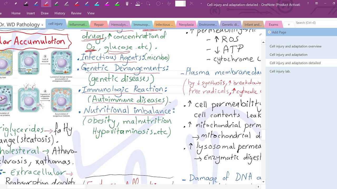 Cell injury 7 (Cause, mechanisms & Intracellular accumulation) - YouTube
