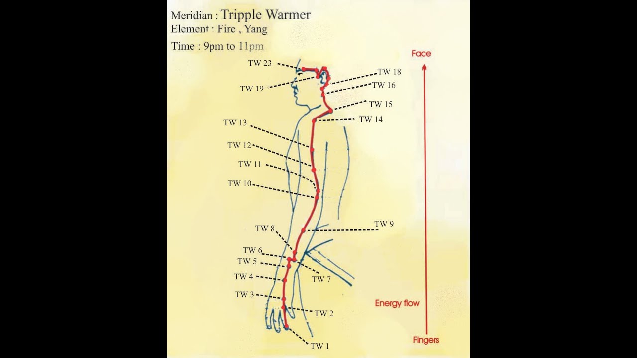 San Jiao, Triple Warmer Meridian 3D - YouTube