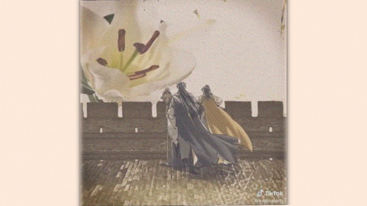 MXTX TikTok compilation 2 ★! (Spoiler warnings!!) - YouTube