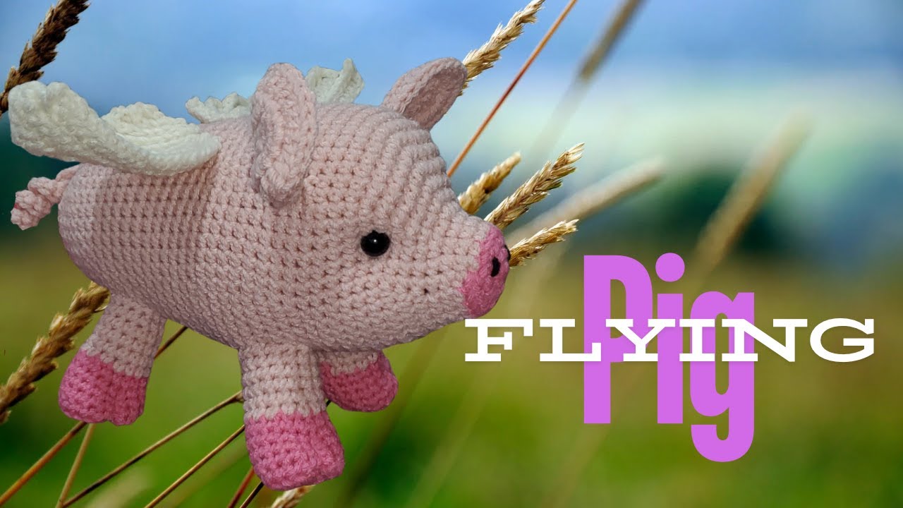 Flying Pig - YouTube