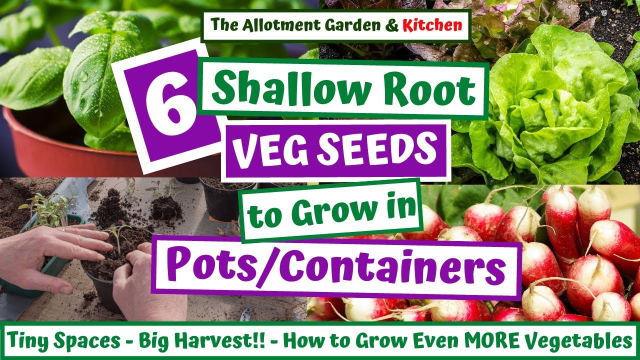 Growing Vegetables In Root Bins