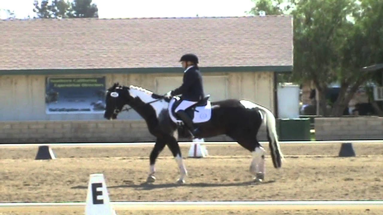 LAEC Intro Test B July 9 2011 - Matisse and Wendy - YouTube