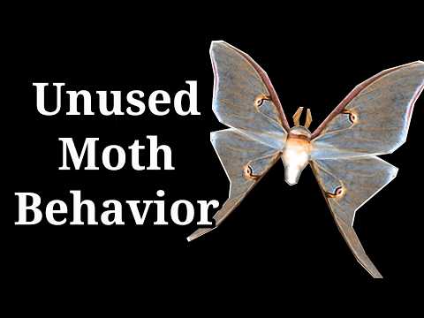 At some point they wanted Moths to swarm around you? - Skyrim