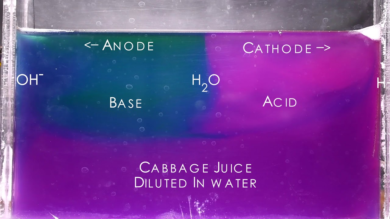 Anode Cathode pH Anthocyanin Labeled - YouTube