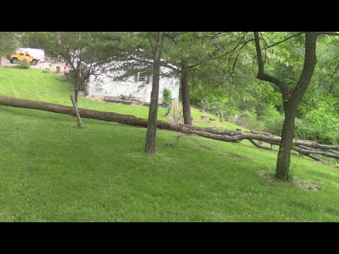 155 Da Big one is UP - YouTube