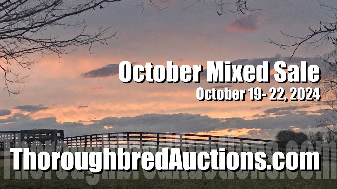 Hip 116: 24 Rocket Ridge - YouTube