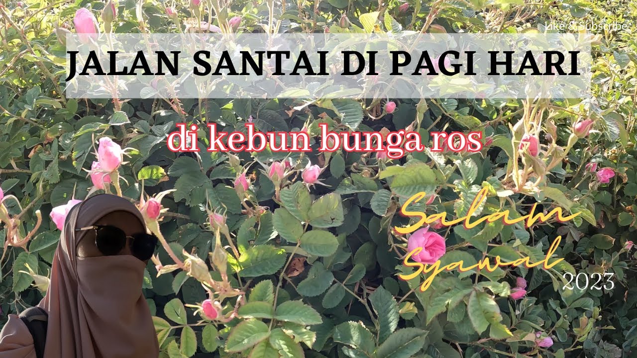 Suasana pagi di TAIF - YouTube