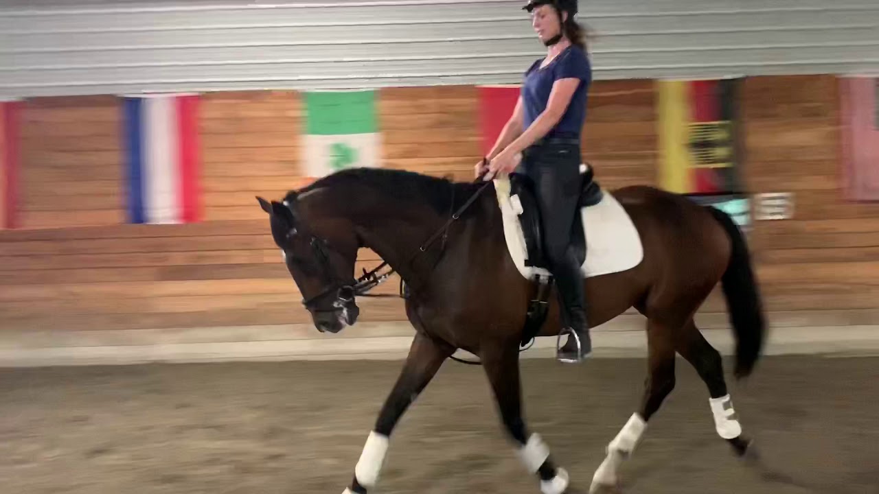 Inlet FOR SALE at Five Stars Farm - YouTube