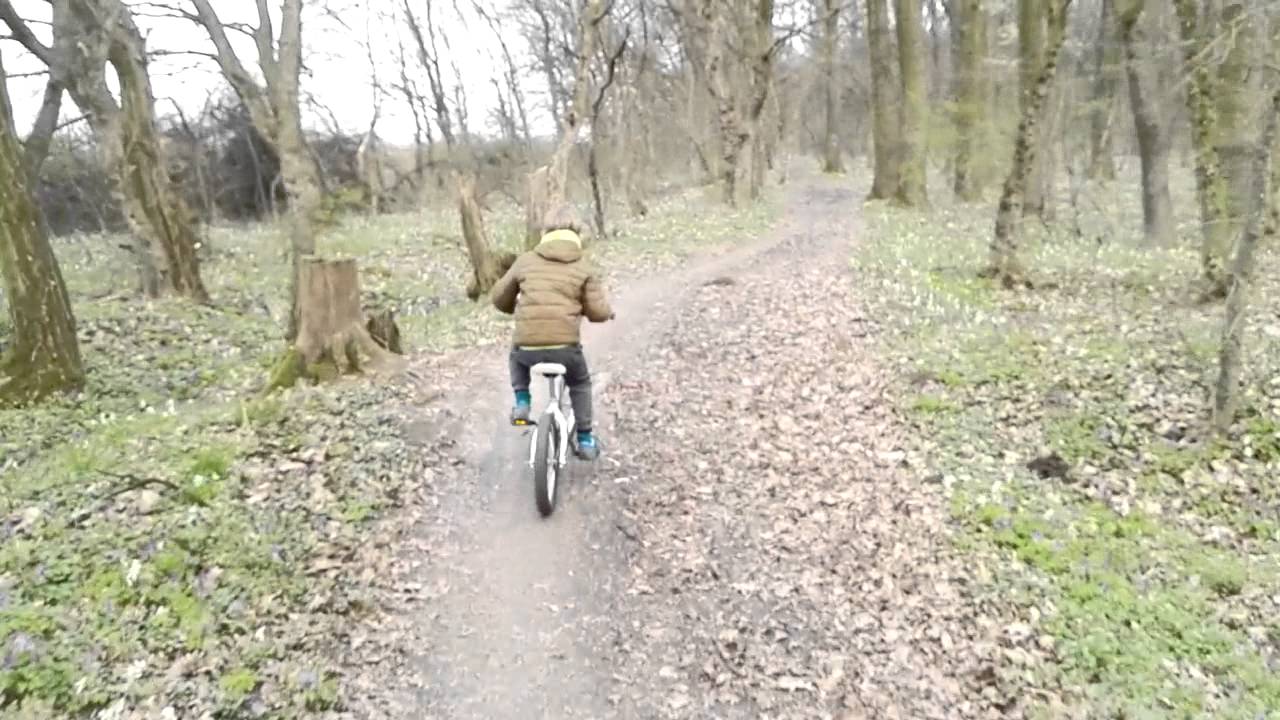 Prima plimbare cu Matei prin padure. - YouTube